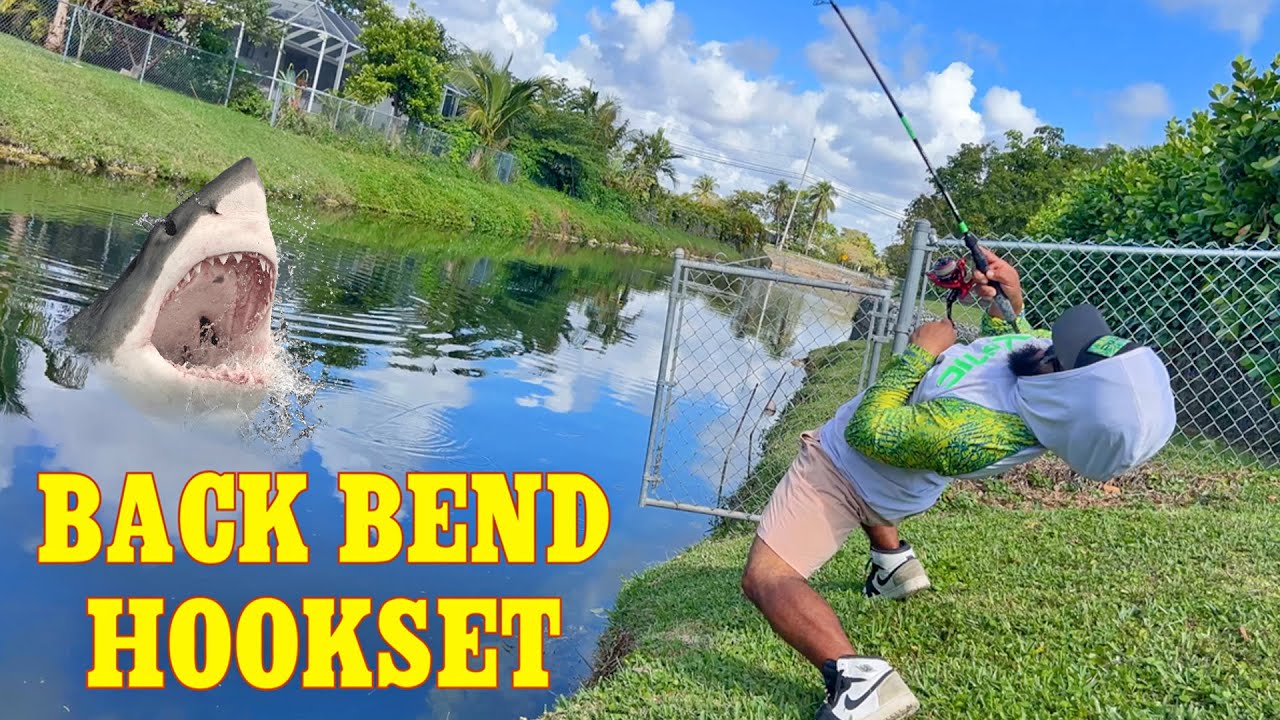 Back Breaking Hookset! Fishing for Peacock Bass - YouTube