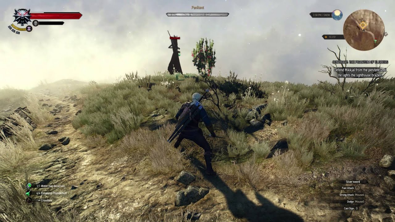 Witcher 3 - Penitent Battle | Death March No DMG (PC Ultra) *Patch 1.05 ...