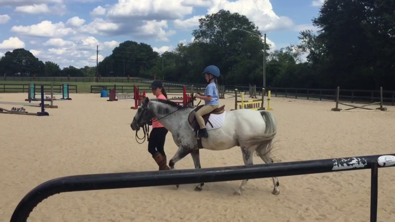 Haley's 1st Horseback Riding Lesson - YouTube