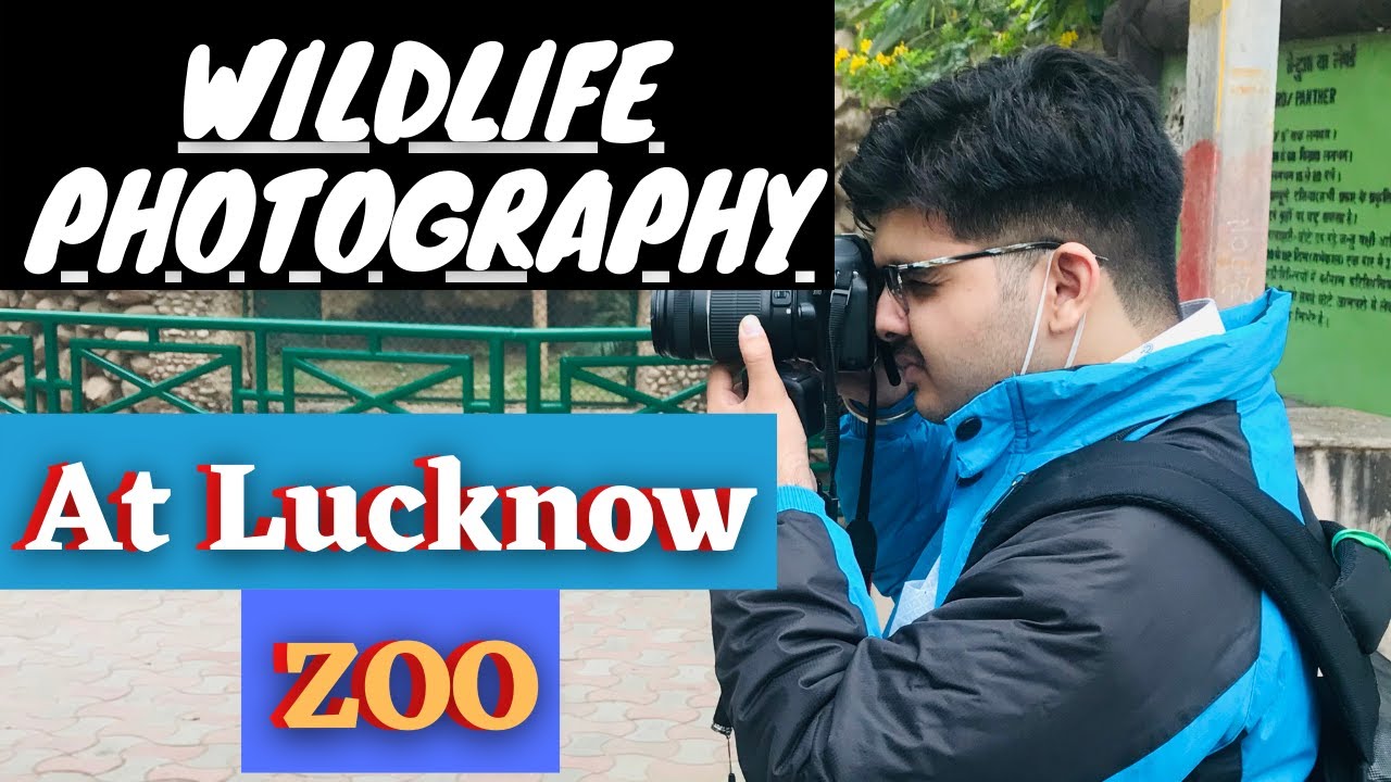 Wildlife photography | Lucknow zoo | Day 1 | - YouTube