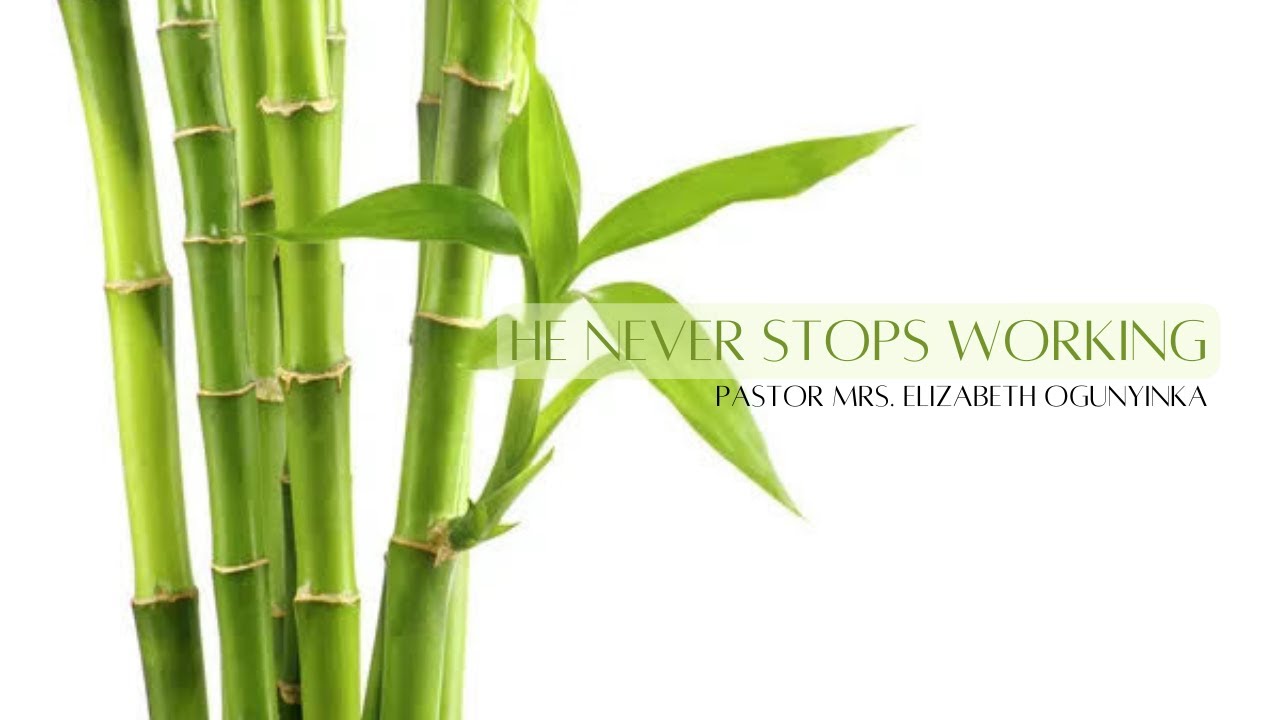 He Never Stops Working - Pastor (Mrs.) Elizabeth Ogunyinka - December ...