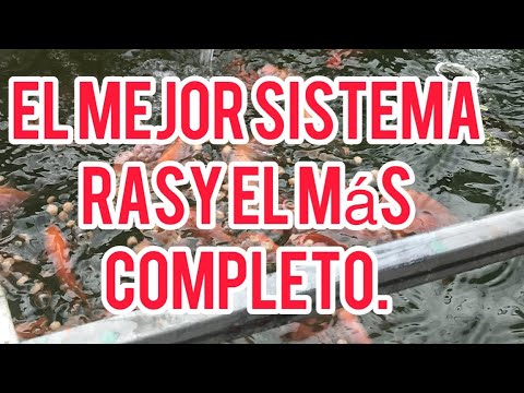 El mejor sistema ras y el mas completo si necesidad de bomba de oxígeno ...