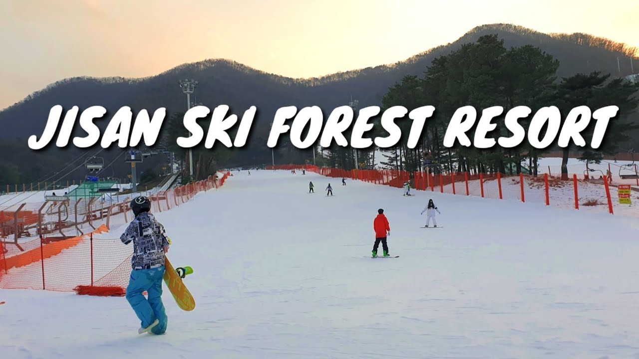 JISAN FOREST SKI RESORT | WINTER SPORTS EXPERIENCE - YouTube