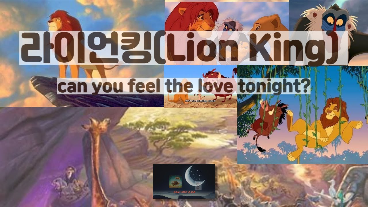 라이온킹 Can You Feel The Love Tonight Lion King Ost 뽀개볼까요 Youtube