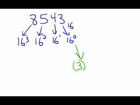 Converting Numbers from Other Bases to Base Ten - YouTube