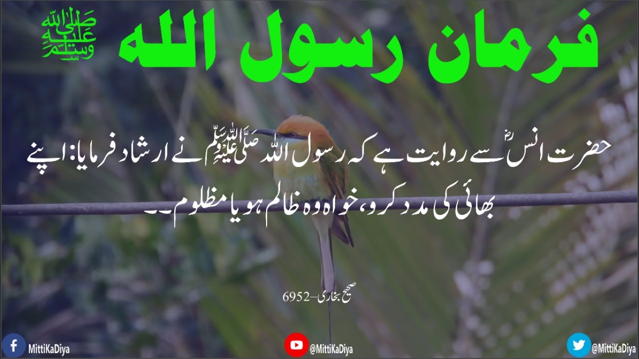 apne bhai ki madad karo khwah wo Zalim ho ya Mazloom | Hadith in Urdu ...