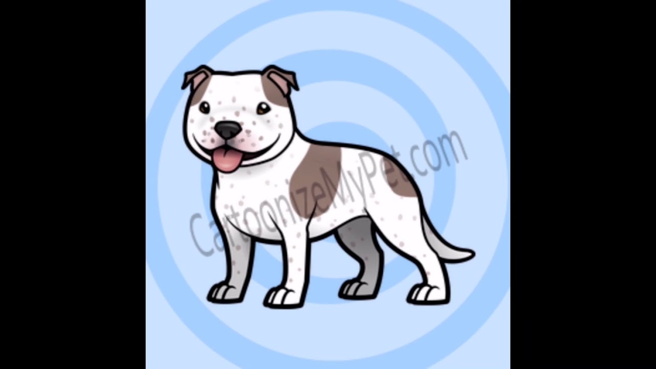 Shadow, Chance, and Sassy from Homeward Bound as Cartoonize My Pet ...