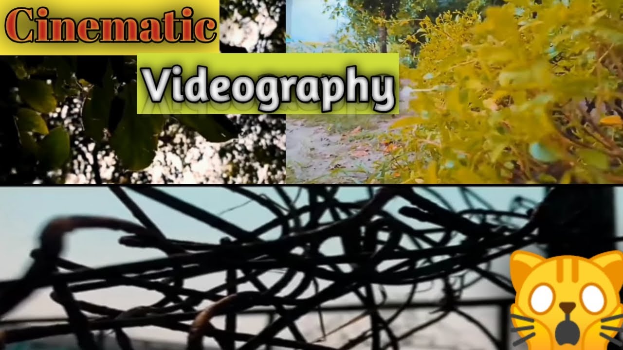 Cinematic Videography Shots! 🔥| #2 | - YouTube