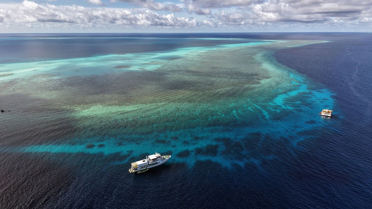 Liveaboard Diving in Tubbataha Reefs - UNESCO World Heritage ...