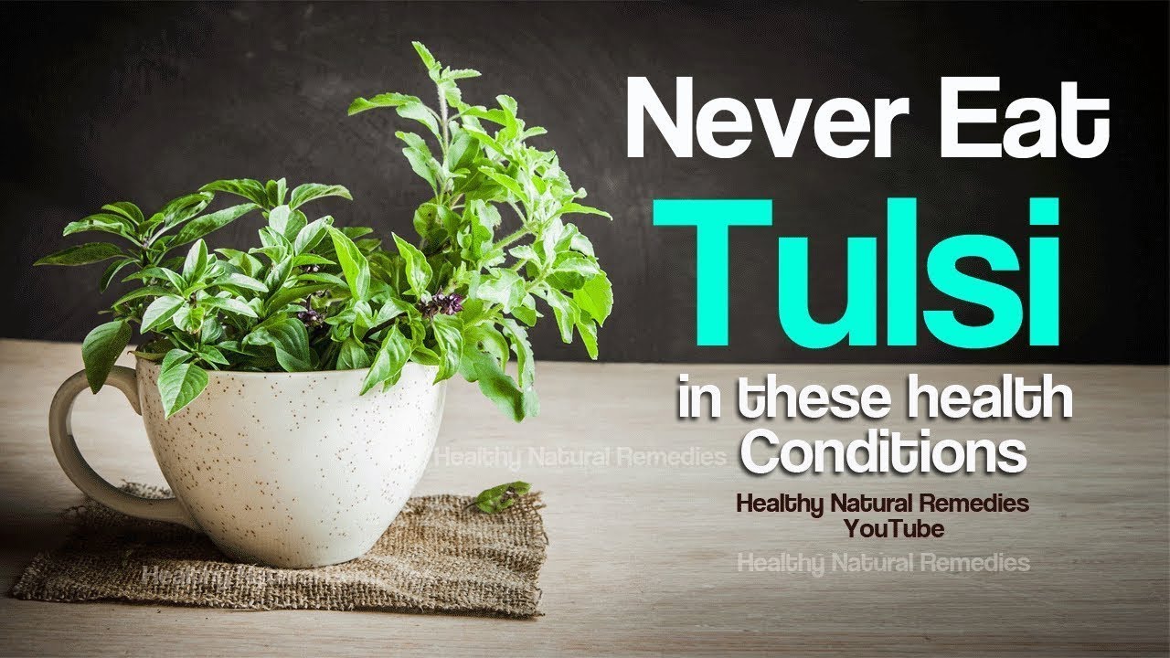 Never Eat Tulsi If you have these 5 Health Conditions | Advantages ...