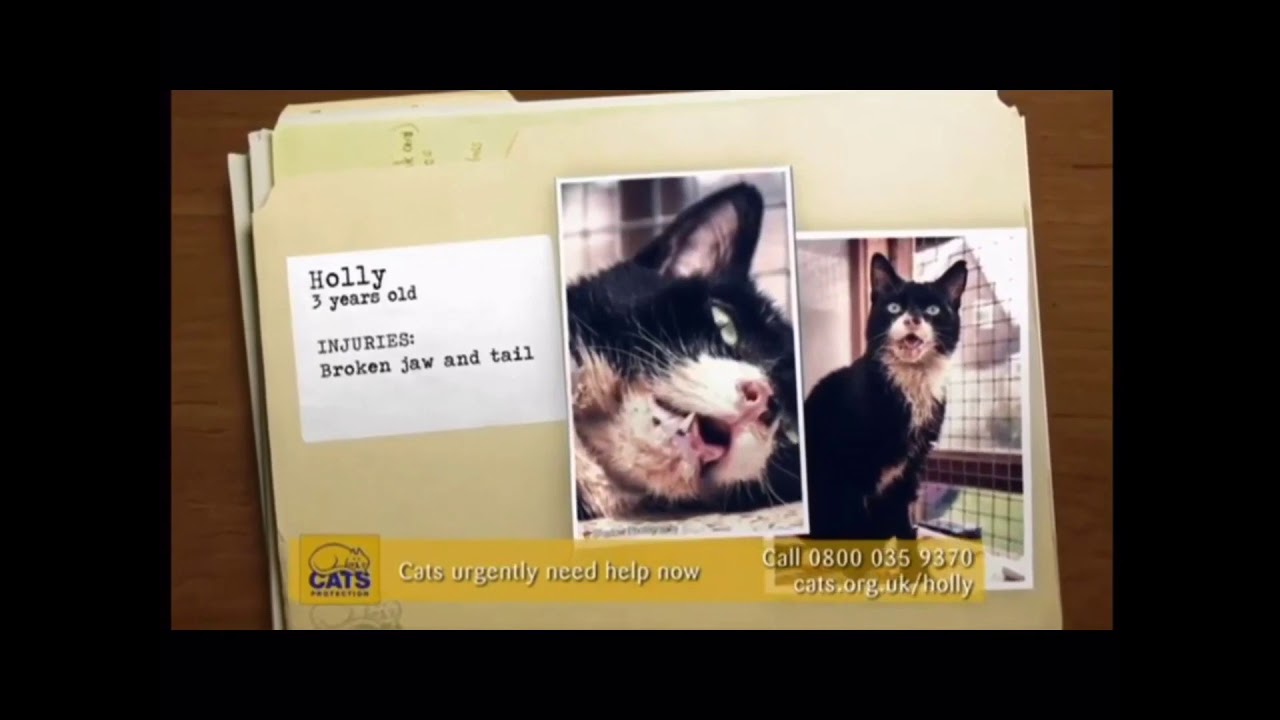 JTV1 continuity- 10/6/20 - YouTube