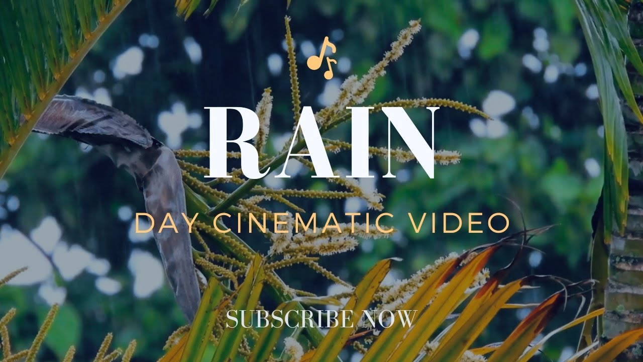 Rain Day Cinematic Video And Nature @TrendingAlbum - YouTube
