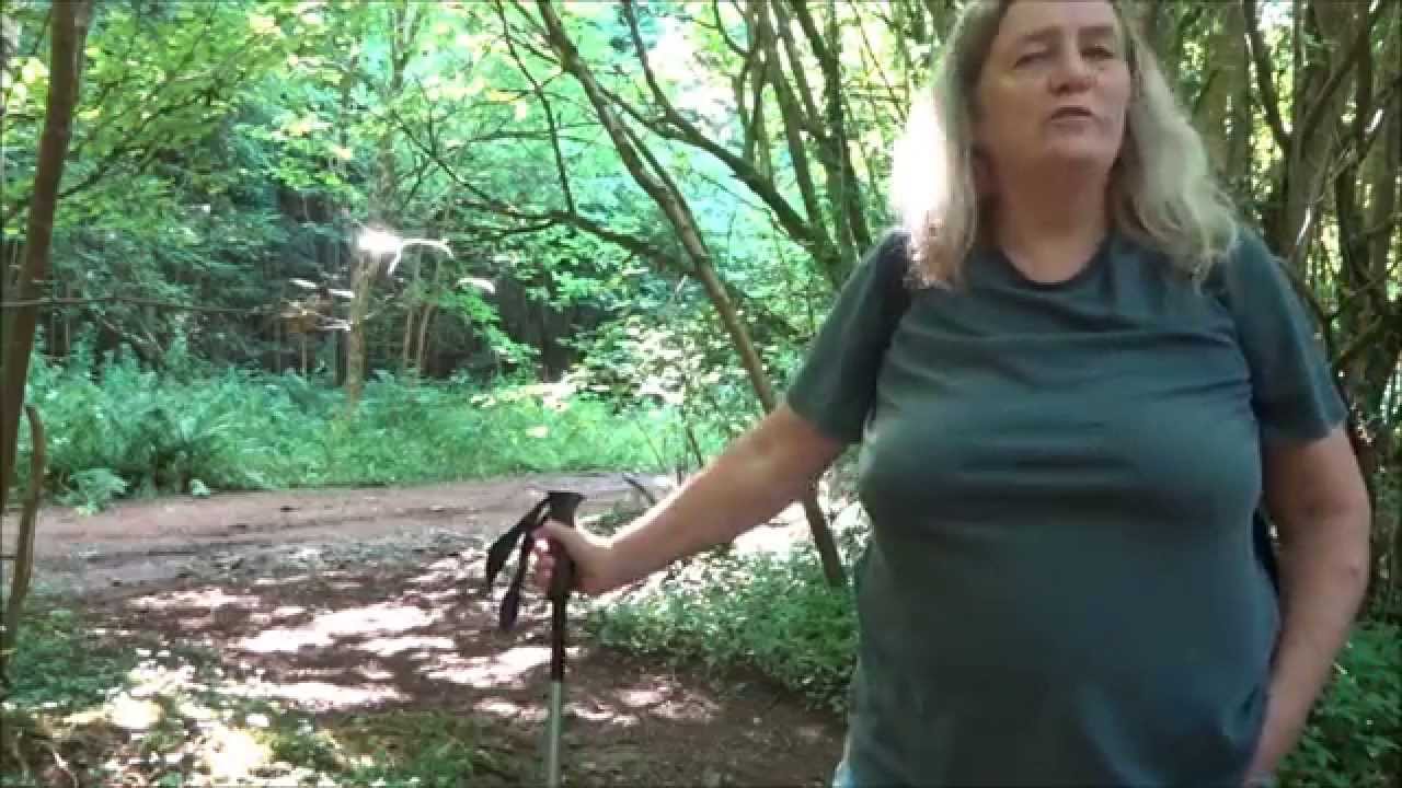 Winscombe Rowberrow Cheddar Walk, PART IX,' Dolebury Warren' by Sheila ...