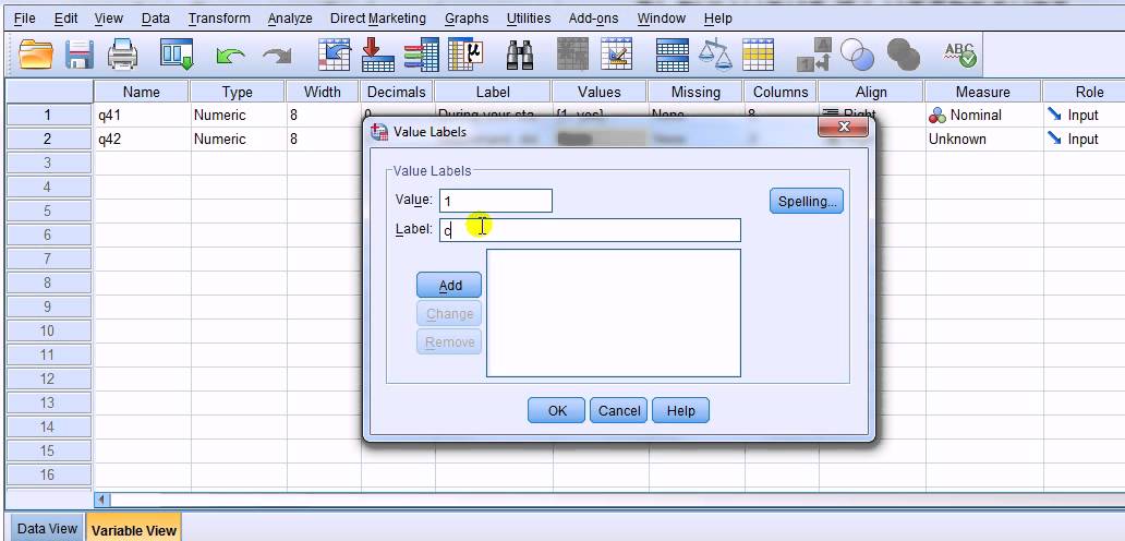 SPSS for newbies: questionnaire data entry- filter questions - YouTube