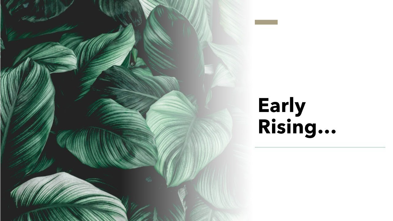 Early Rising... - YouTube