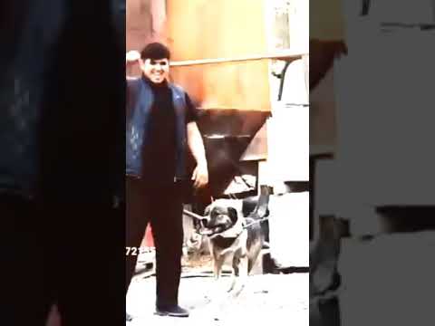 Kiriminal Avtaritet  #lotuquli #rovsenlenkeranski #sherow #shorts #top10 #bandit #topnews