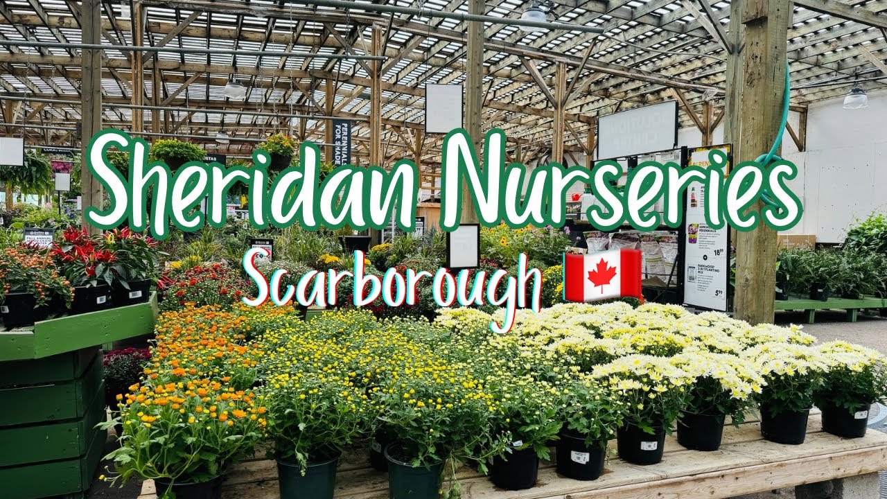 Sheridan Nurseries Toronto | Scarborough 🇨🇦| garden centers in Canada # ...