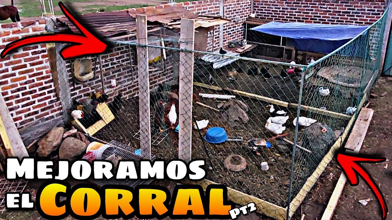 Así va quedando Nuestro "Corral" para mis Animales || Actualización ...