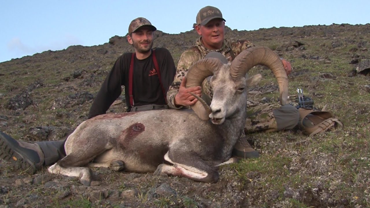 Part 2 of our 2024 archery stone sheep hunt - YouTube