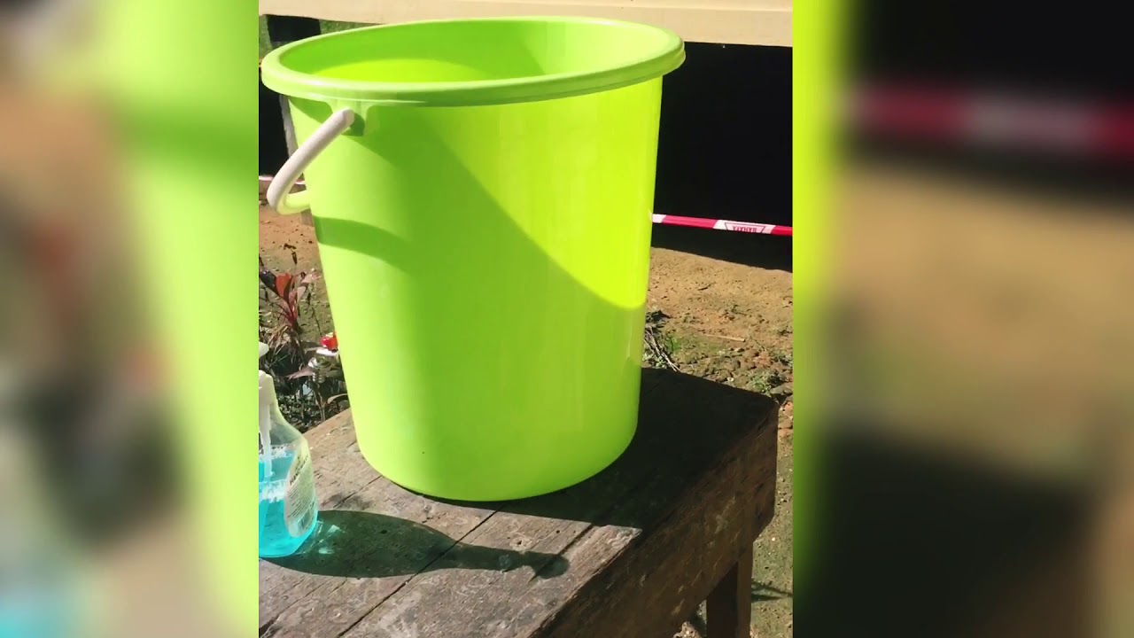 Sk Bunga Raya (new normal) - YouTube