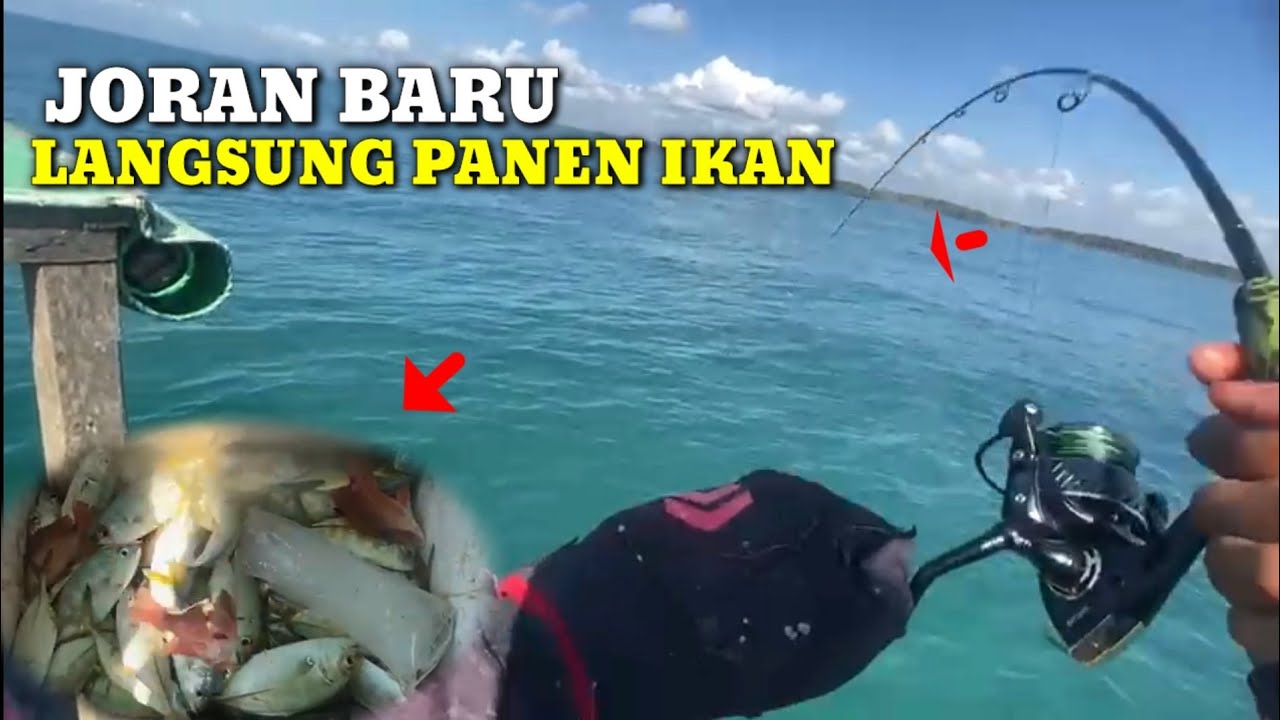 mancing di rumpon || umpan jatuh langsung di sambar ikan putih trakulu - YouTube