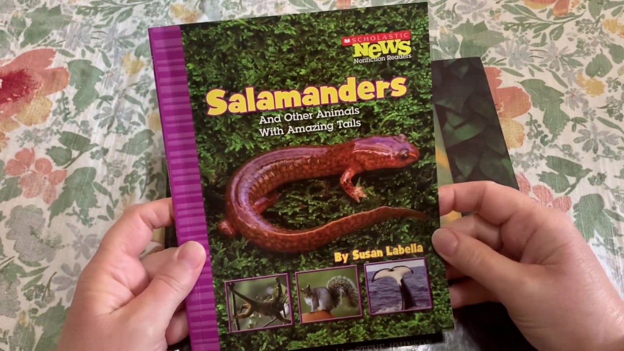 Salamanders and Other Animals with Amazing Tails - YouTube