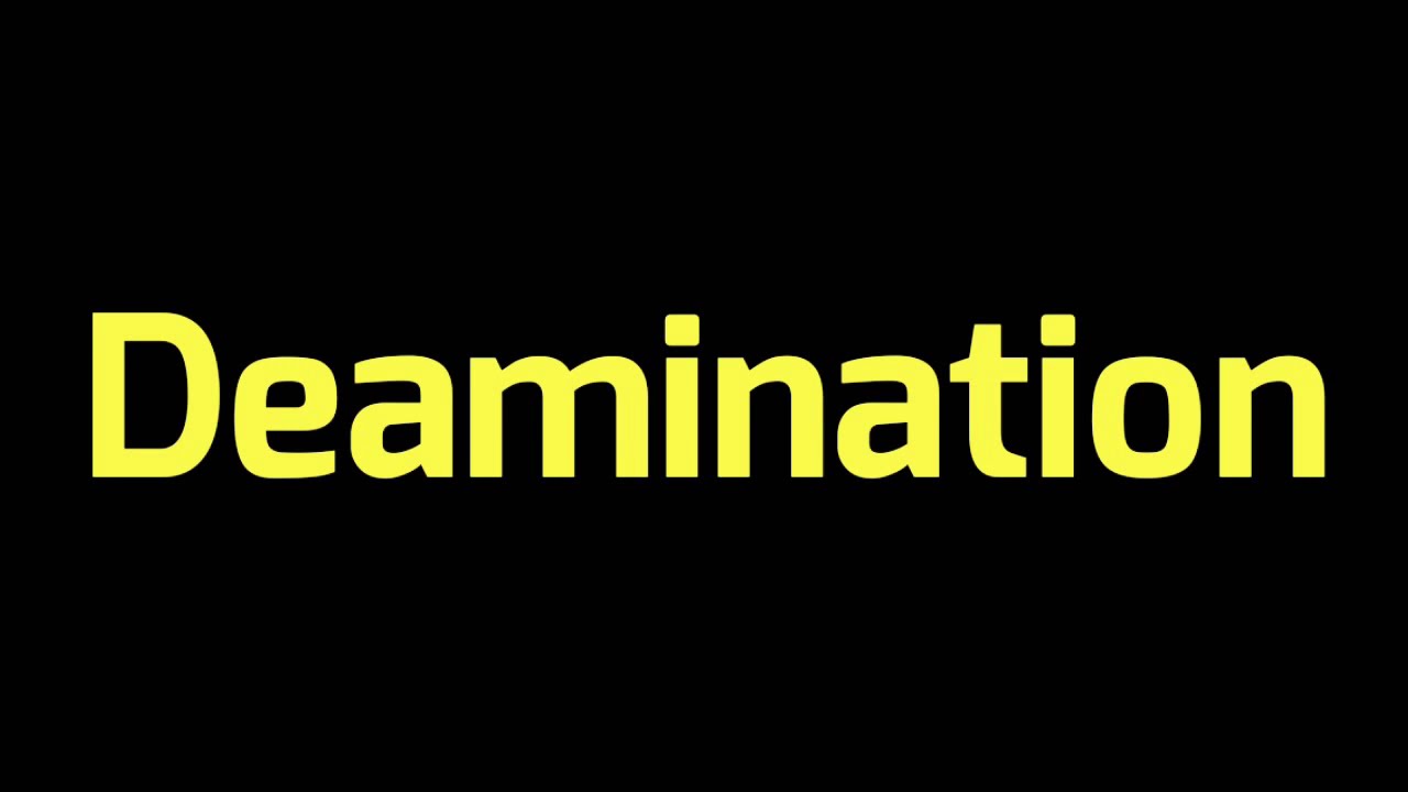 DEAMINATION : Mechanism ,Types , Examples and significance. - YouTube