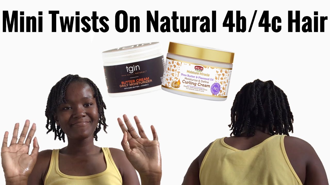 HOW TO DO MINI TWISTS ON 4B 4C NATURAL HAIR AMANDA REN E YouTube HOW TO DO MINI TWISTS ON 4B 4C NATURAL HAIR AMANDA REN E YouTube