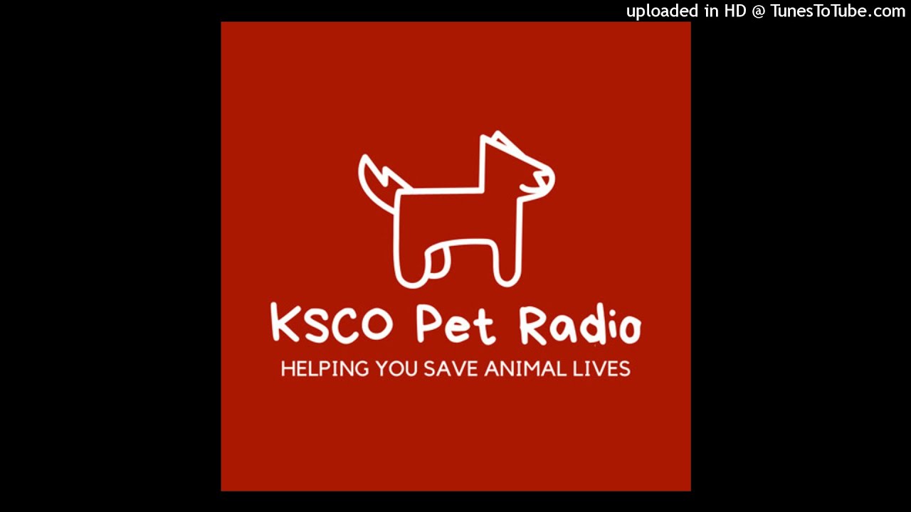 Bonnie Harlan - Live Interview with KSCO Pet Radio - YouTube