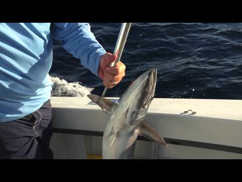 Adam Ziadie-Fishing 2014 TAZ