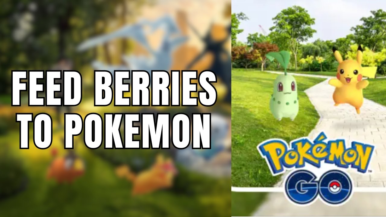 How to Feed Berries to Pokémon at Pokémon Go 2025? - YouTube