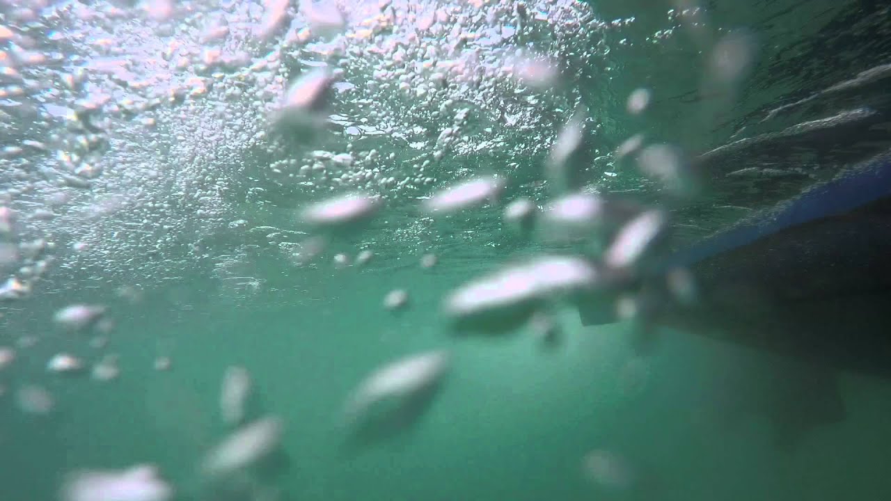 Gopro4 underwater sea fishing for cod with shads - YouTube