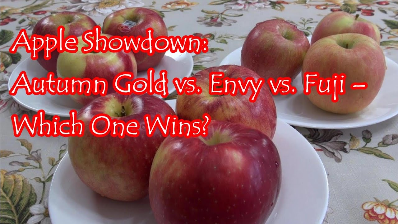 Apple Showdown: Autumn Gold vs Envy vs Fuji Which One Wins? - YouTube
