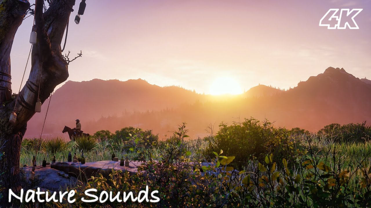 Relaxing Sunset (Nature Sounds Ambiance) | RDR2 - Max Graphics [4K ...