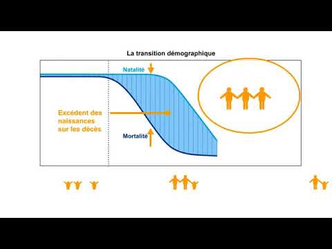 La Transition démographique - YouTube