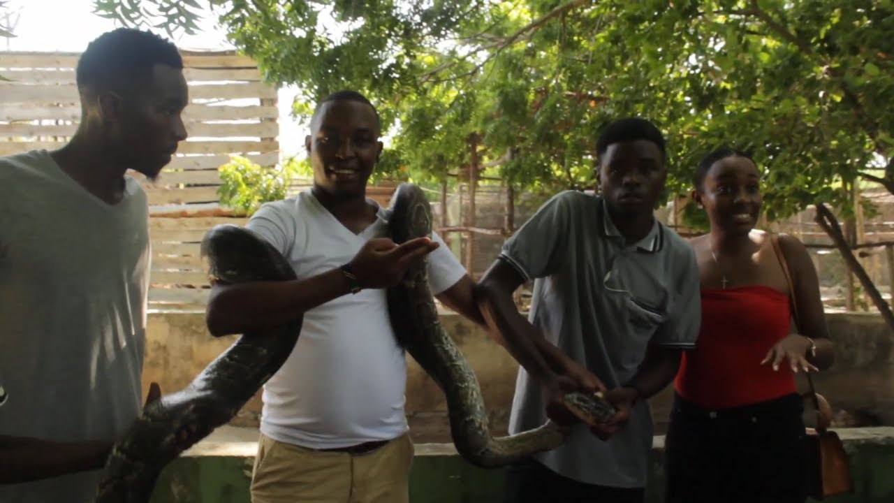 WOW! A huge python in Bagamoyo Snake Park, Tanzania - YouTube