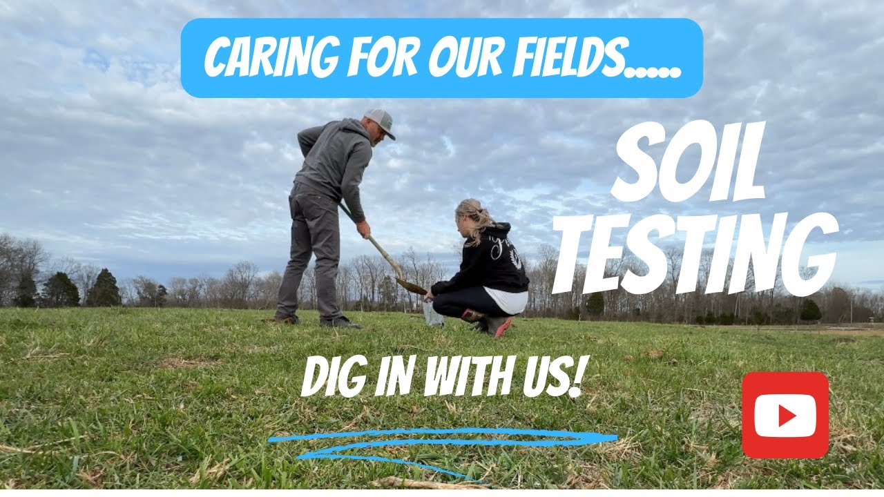 Unearthing Secrets: Soil Sampling Adventure on Our Homestead! | Midwest ...
