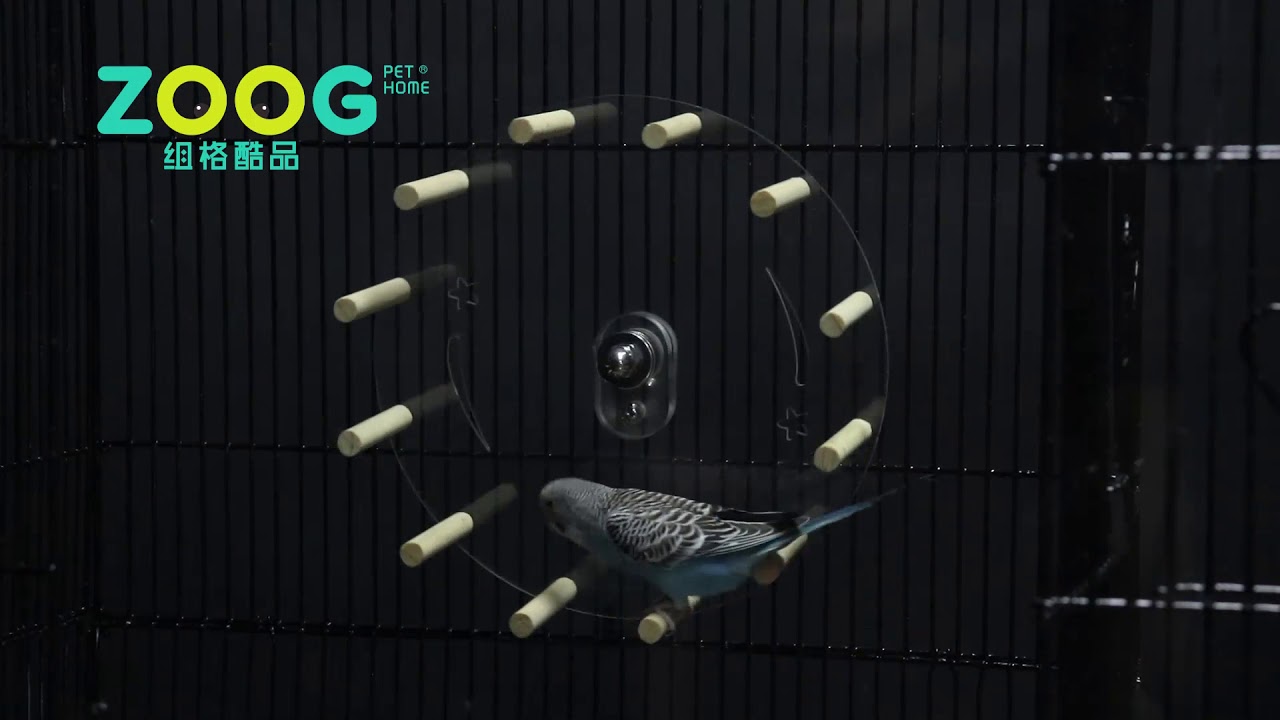 Zoog Bird Running Wheel - YouTube