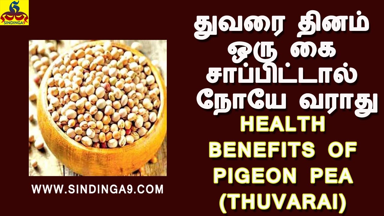 Health Benefits of Pigeon pea / Thuvarai | தினமும் ஒரு கை துவரை எந்த ...