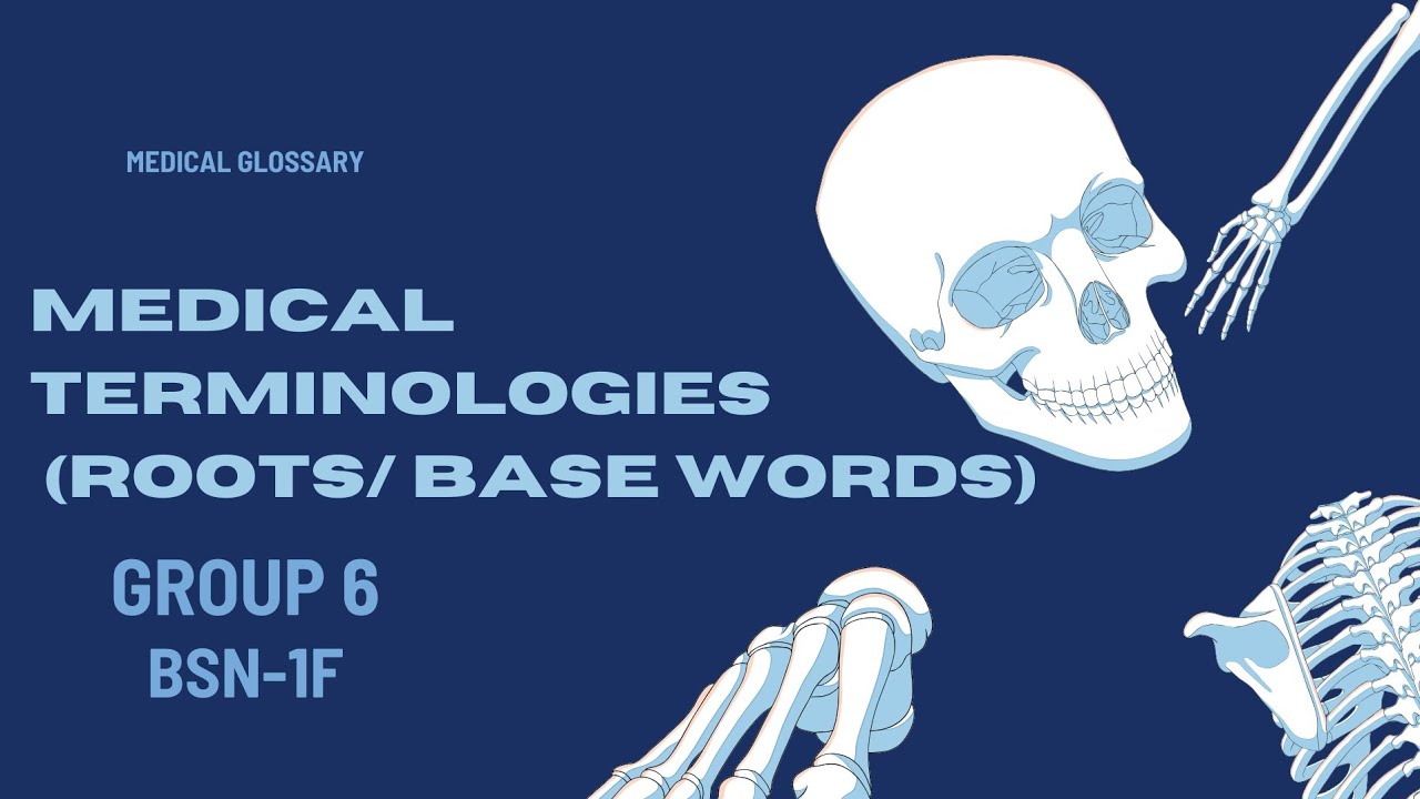 BSN-1F GROUP 6: ROOT/BASE WORDS FOF SKELETON, BONES AND JOINTS ...