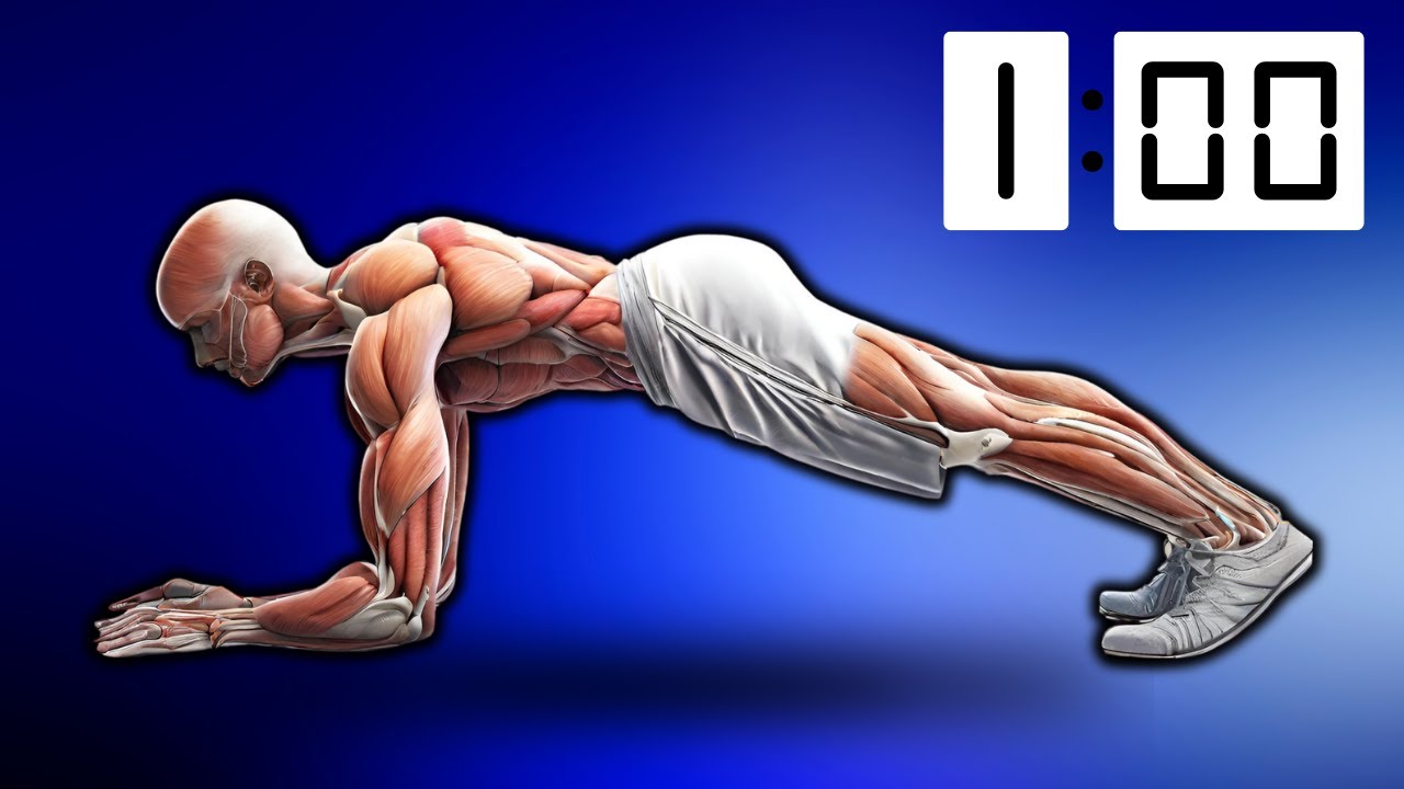 FAÇA PRANCHA POR 1 MINUTO TODOS OS DIAS E SEU CORPO TE AGRADECERÁ ...