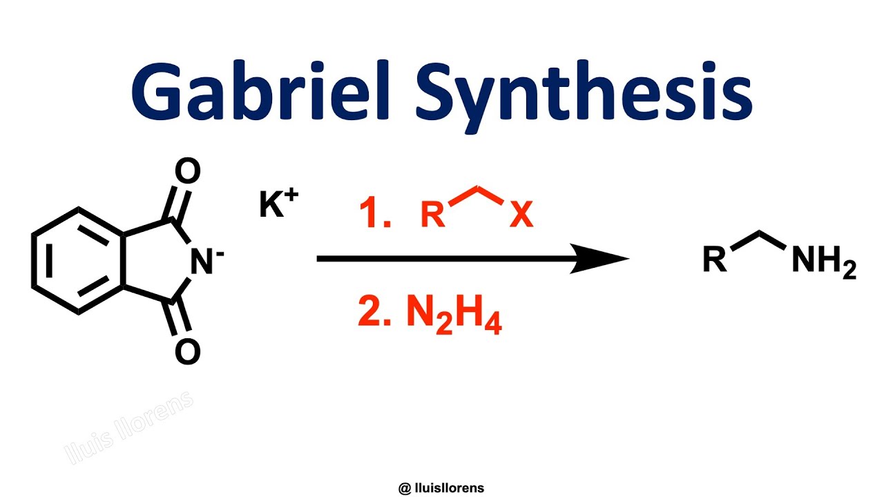 Gabriel Synthesis - YouTube