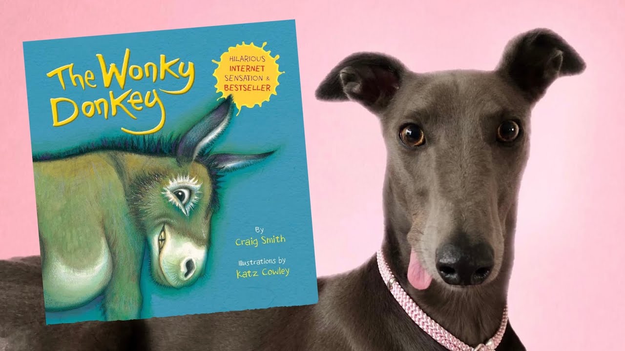 THE WONKY DONKEY children’s story read aloud with school dog Fairy ...