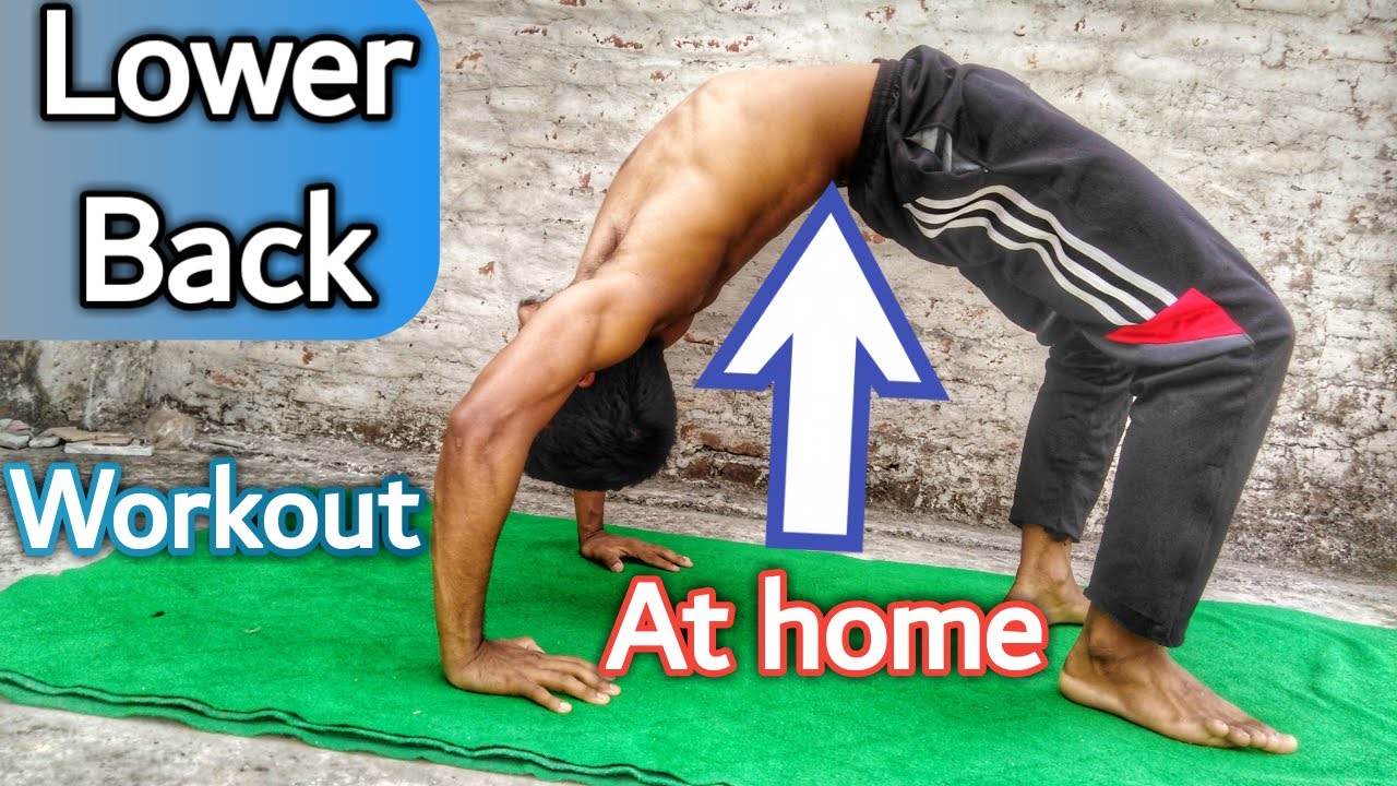 Lower back workout at home no equipment || In 5 minute|| - YouTube