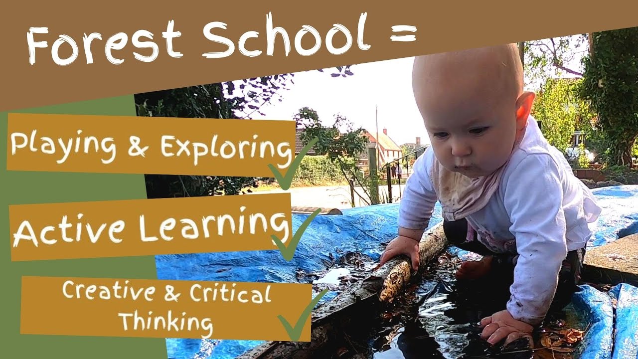 Forest School for Early Years – Characteristics of Effective Learning ...