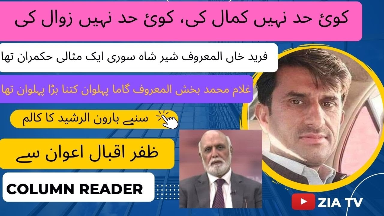 Haroon Rasheed| ZIA TV| Zafar Iqbal Awan VLOG|Column today| Urdu Column ...