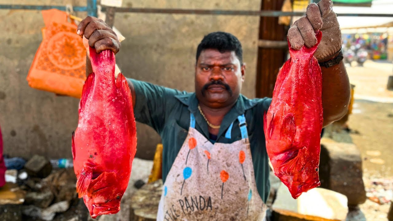 TOMATO GROUPER FISH CUTTING BY SPEED SELVAM | HD VIDEO | IN KASIMEDU ...