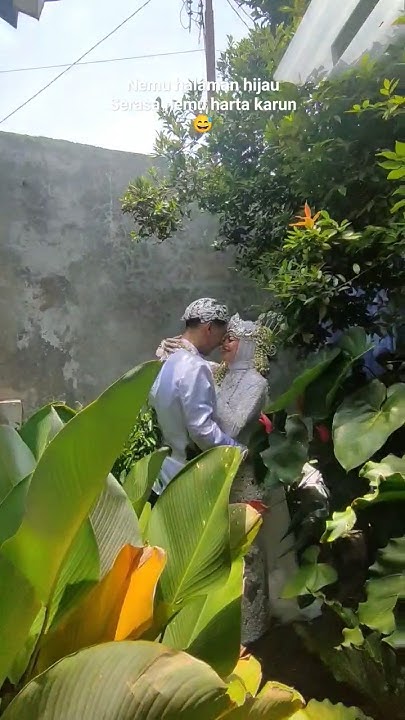 nemu harta karun - YouTube