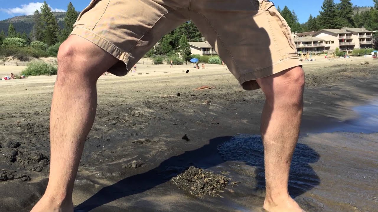 Todd taking a poo on the beach. - YouTube