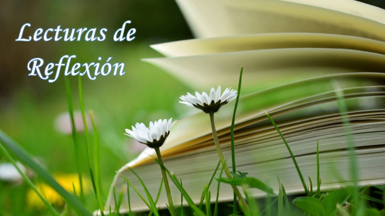 video lecturas reflexion - YouTube